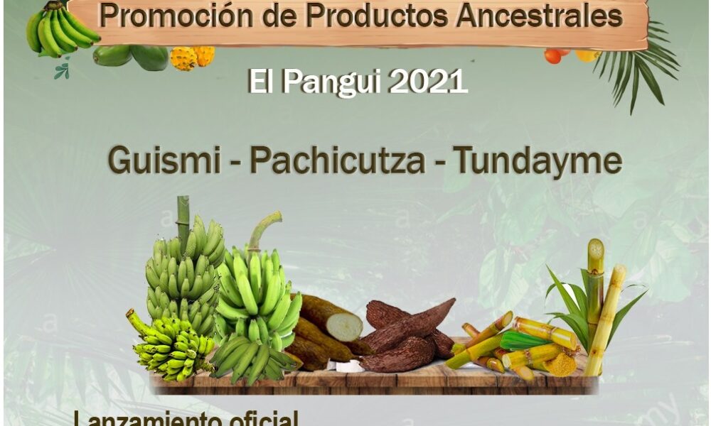 GAD de El Pangui realizará primer festival de reactivación turística y ...