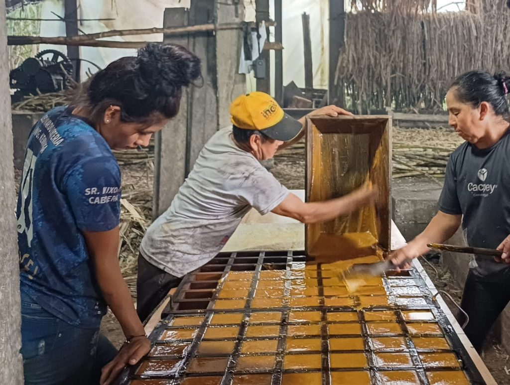 La Molienda de Don Manuel Cañar: Tradición, Trabajo y Esfuerzo Familiar ...